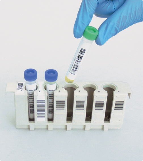 Home - EurobioBMD - Biomedical diagnostics - in vitro diagnostic ...