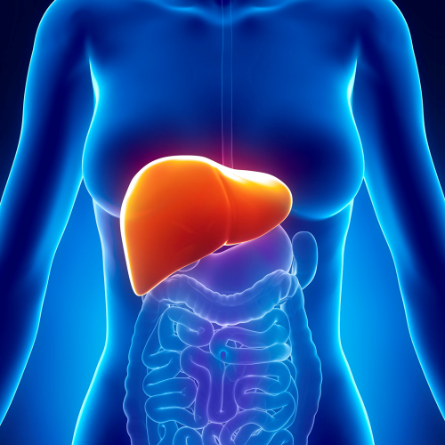 HEPATOLOGY -Biomedical diagnostics